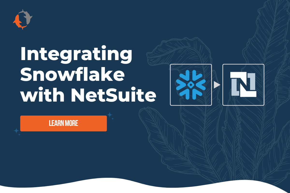 Snowflake And Netsuite Integration